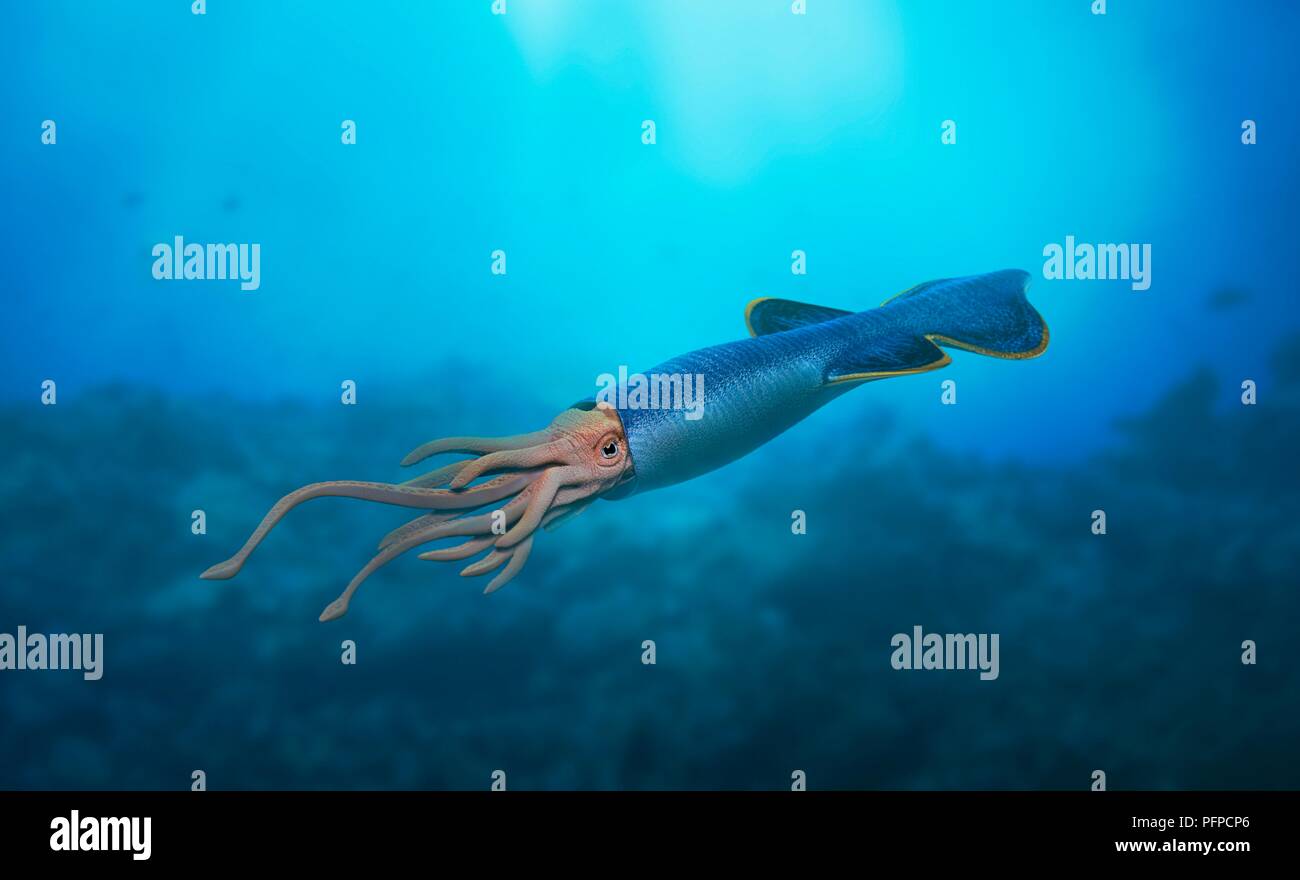 Underwater history hi-res stock photography and images - Alamy