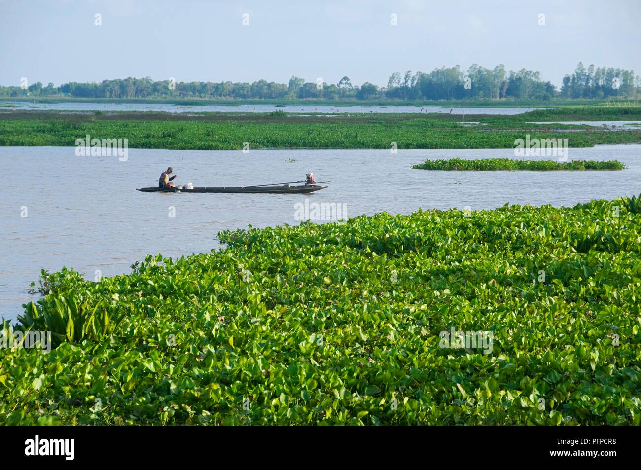 Thailand, Lake Songkhla, Thale Luang, lone fisherman Stock Photo - Alamy