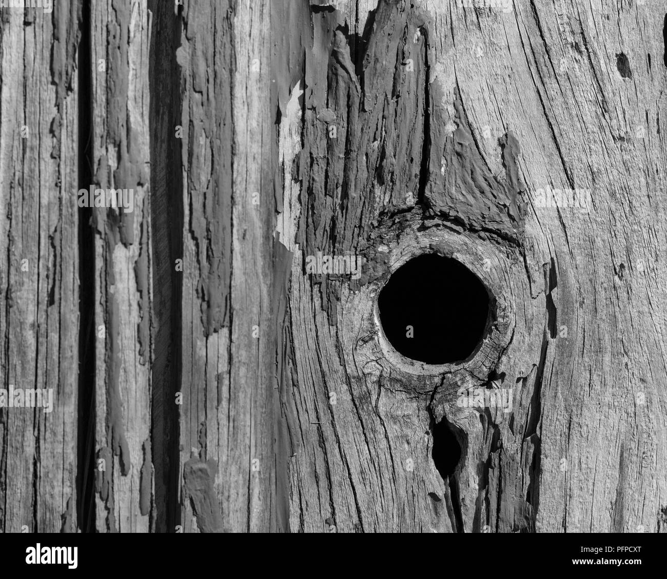 Bw texture hi-res stock photography and images - Alamy