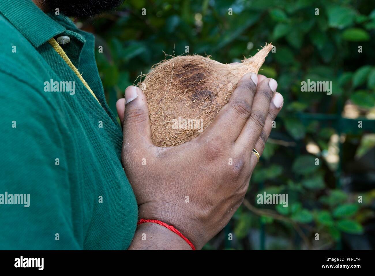 Man holding coconut in cupped hands in preparation for Hindu ritual ...