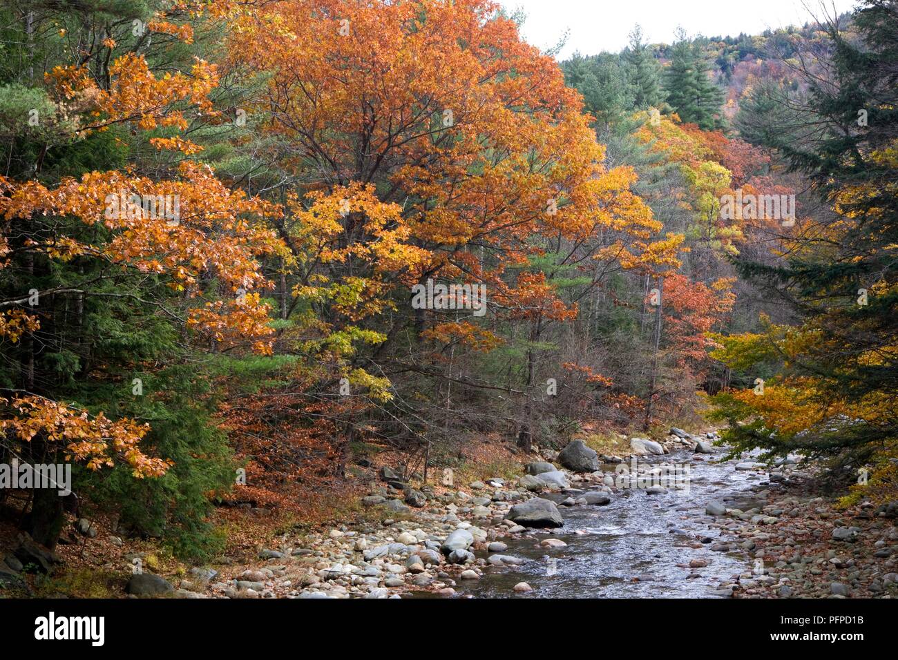 Mohawk trail hi-res stock photography and images - Alamy