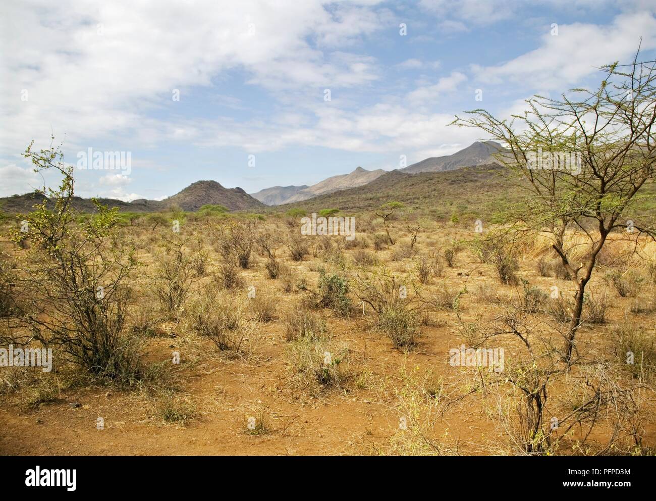 Kenya, Rift Valley, arid landscape and a view of the Ngong Hills, near ...