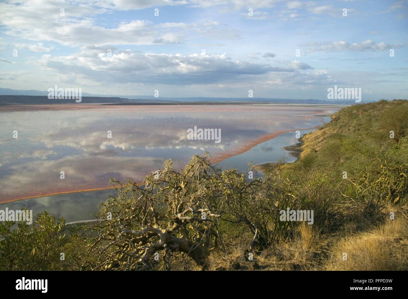 Kenya, Rift Valley, Lake Magadi, view of the lake's shoreline and ...