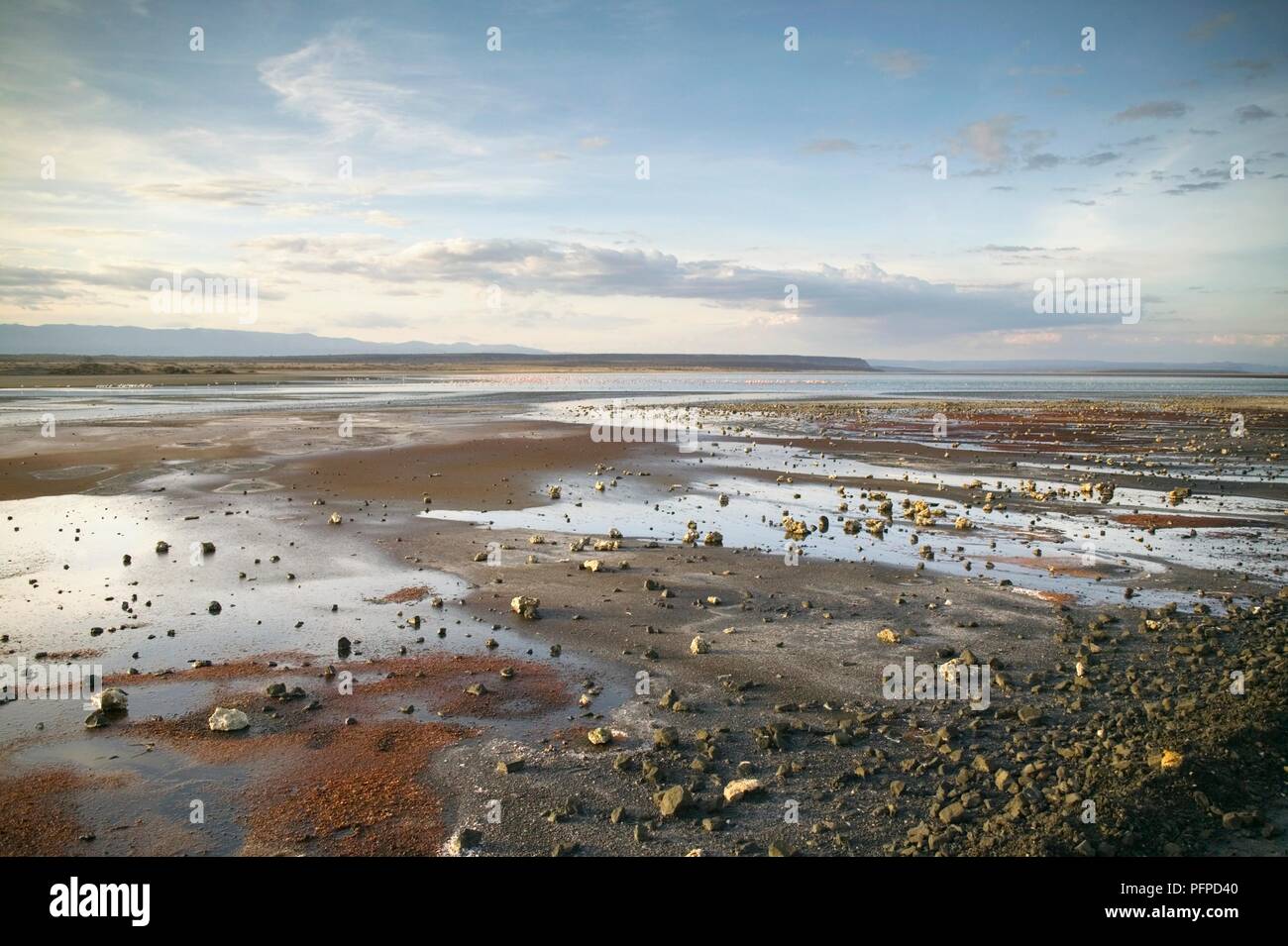 Kenya, Rift Valley, Lake Magadi, salt and mud flats on the lake's ...