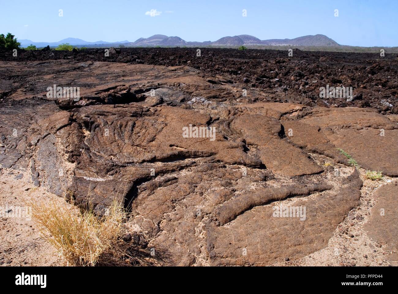 Kenya, Tsavo National Park, Shetani, dried lava landscape Stock Photo ...