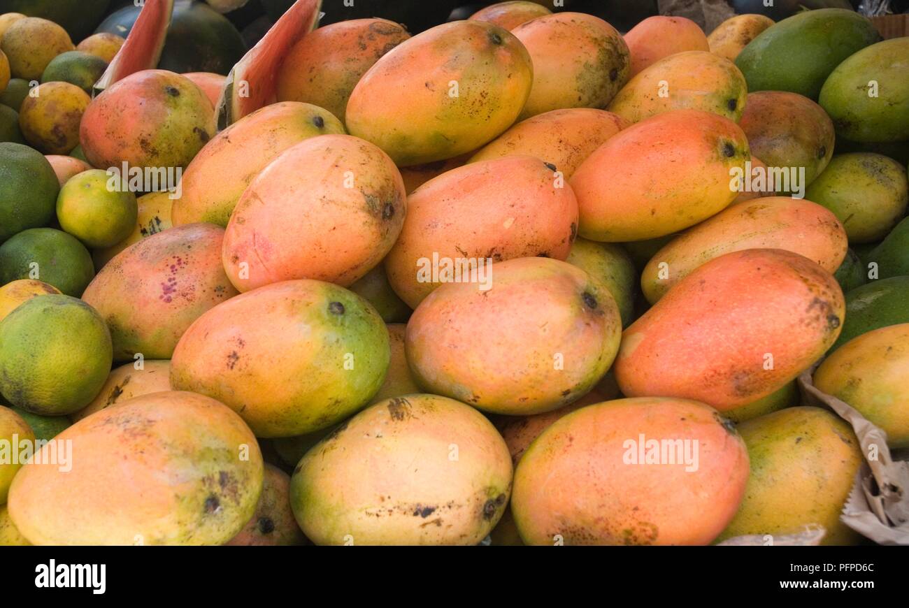Kenya, Mombasa, mangoes for sale at market Stock Photo - Alamy