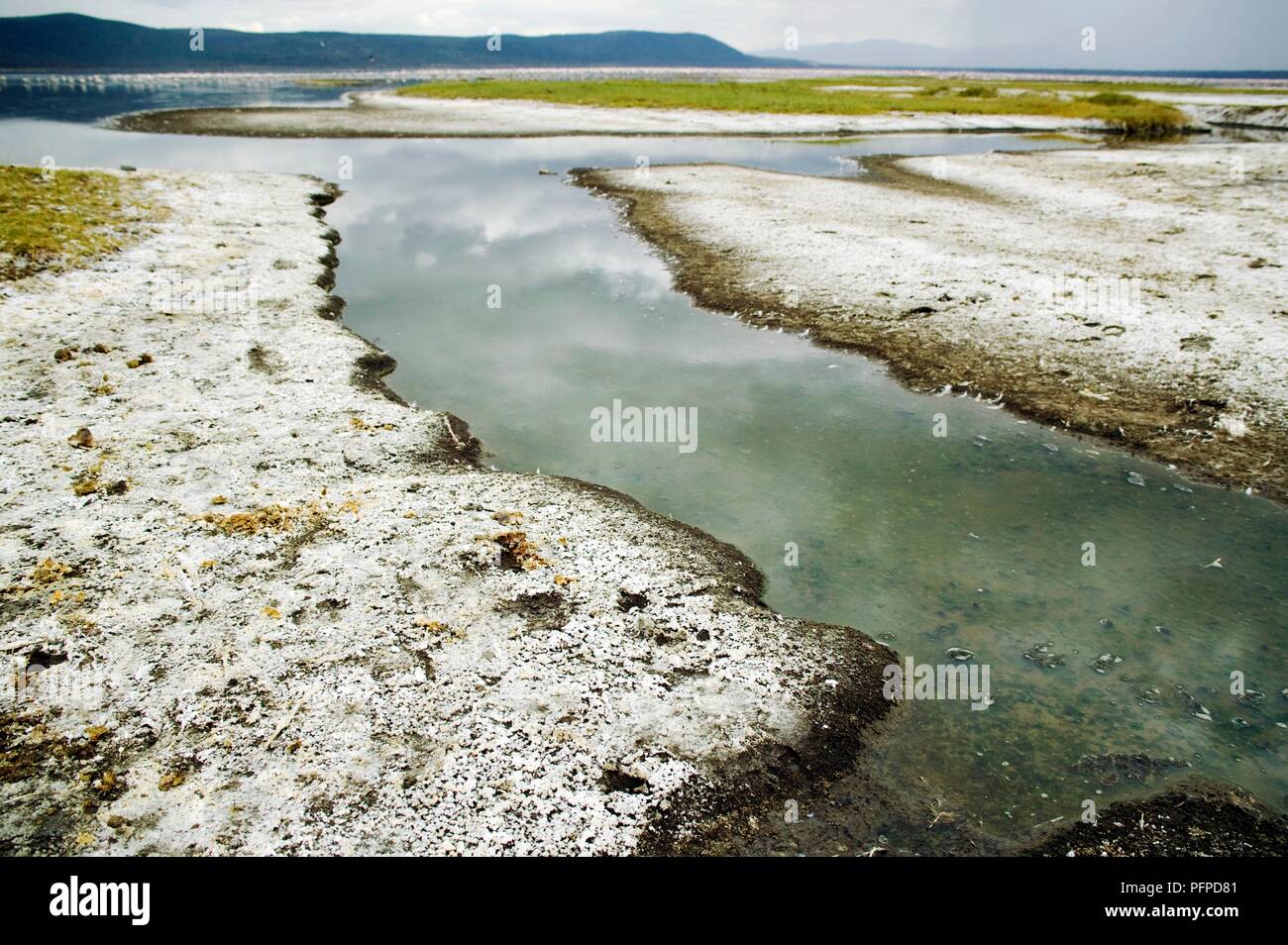 Kenya, Rift Valley, Lake Nakuru National Park, salt-encrusted shore of ...