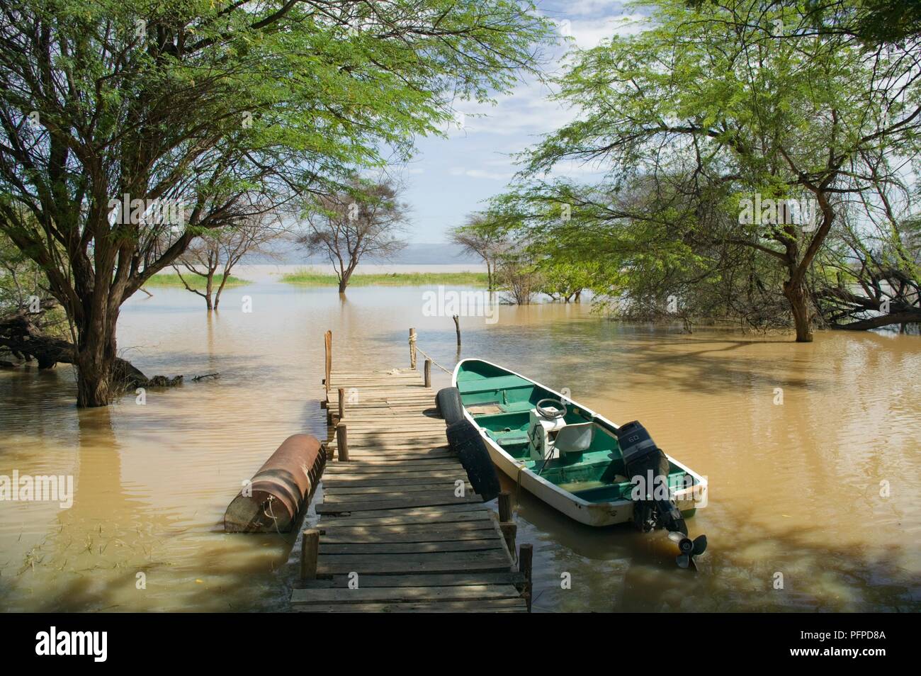 Kenya, Rift Valley, Lake Baringo, flooded shores with boat and jetty at ...