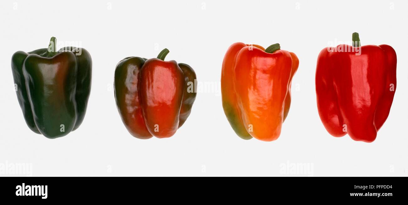Bell peppers in a row hi-res stock photography and images - Alamy