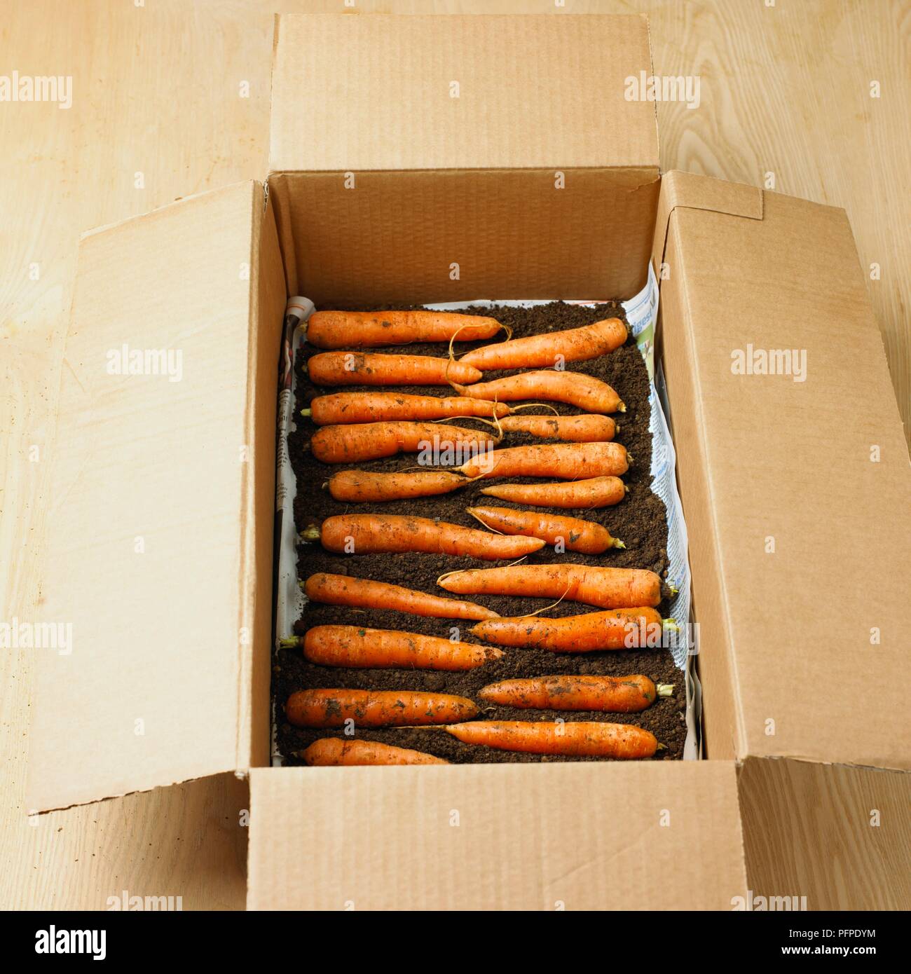 Storing carrots in box of mud Stock Photo - Alamy