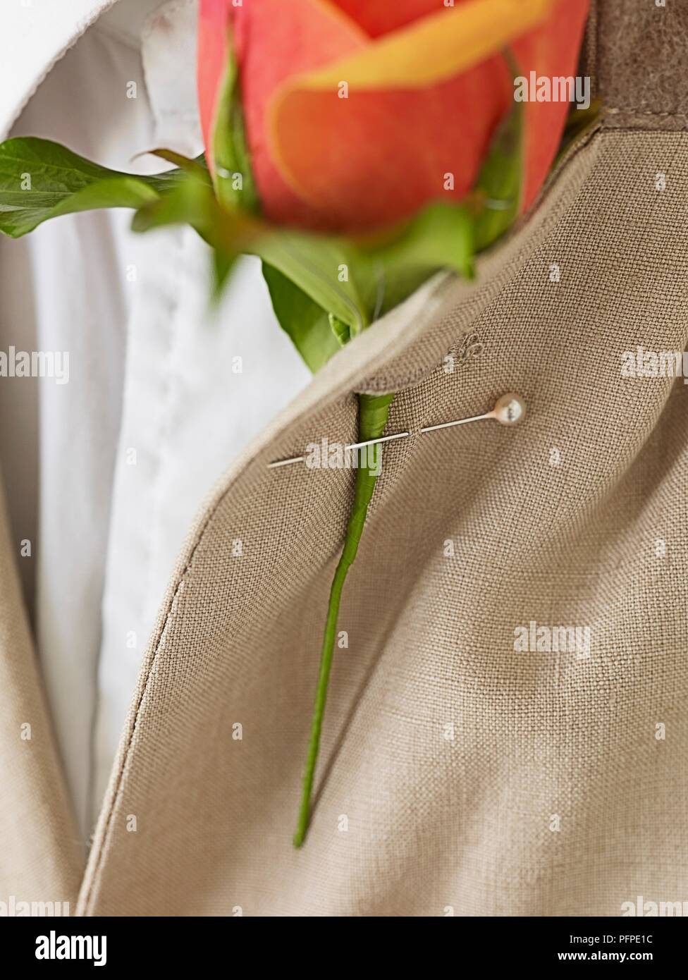 Rose lapel pin hi-res stock photography and images - Alamy