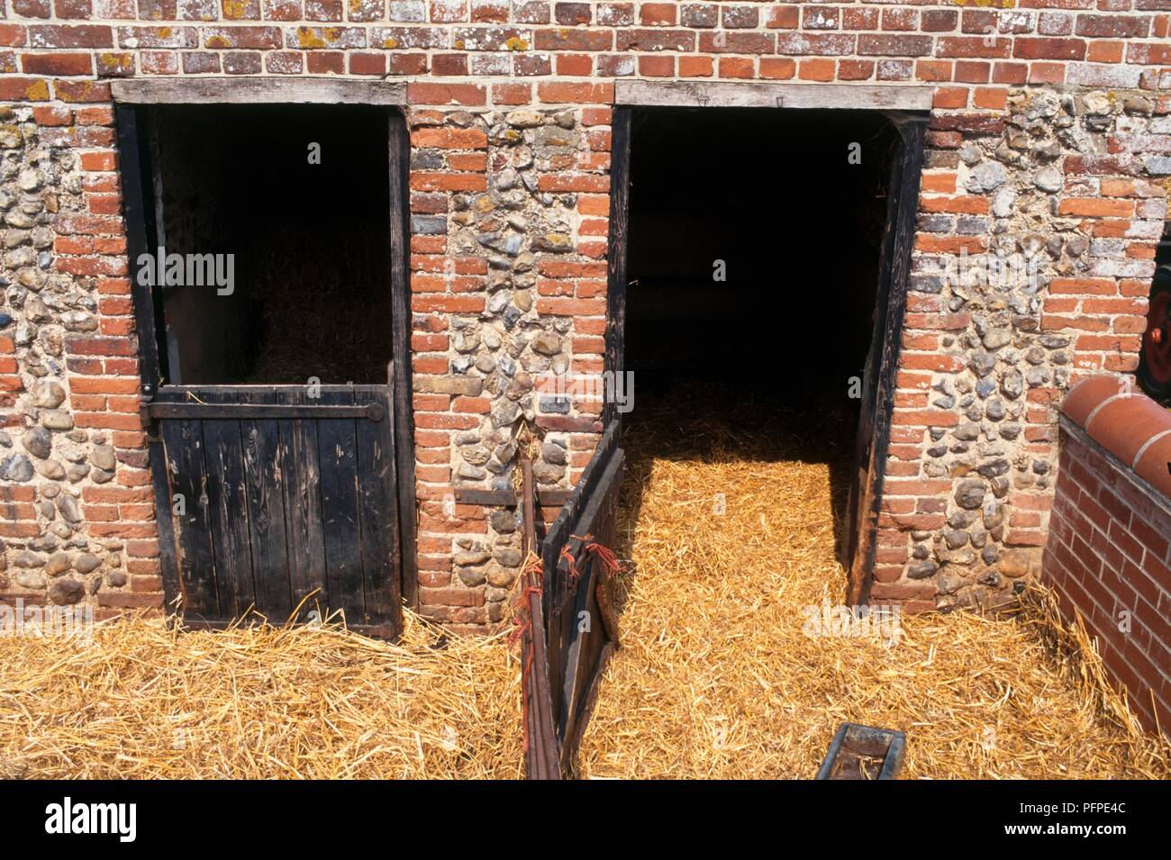 Clean straw in stables Stock Photo - Alamy