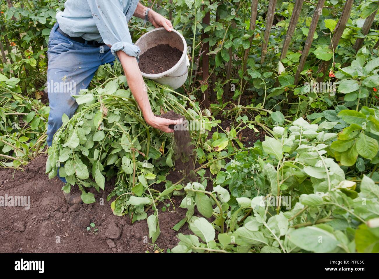 Earthing Up High Resolution Stock Photography and Images - Alamy