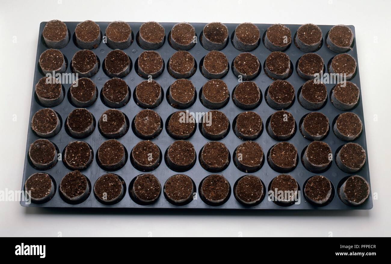 Plug plant module hi-res stock photography and images - Alamy