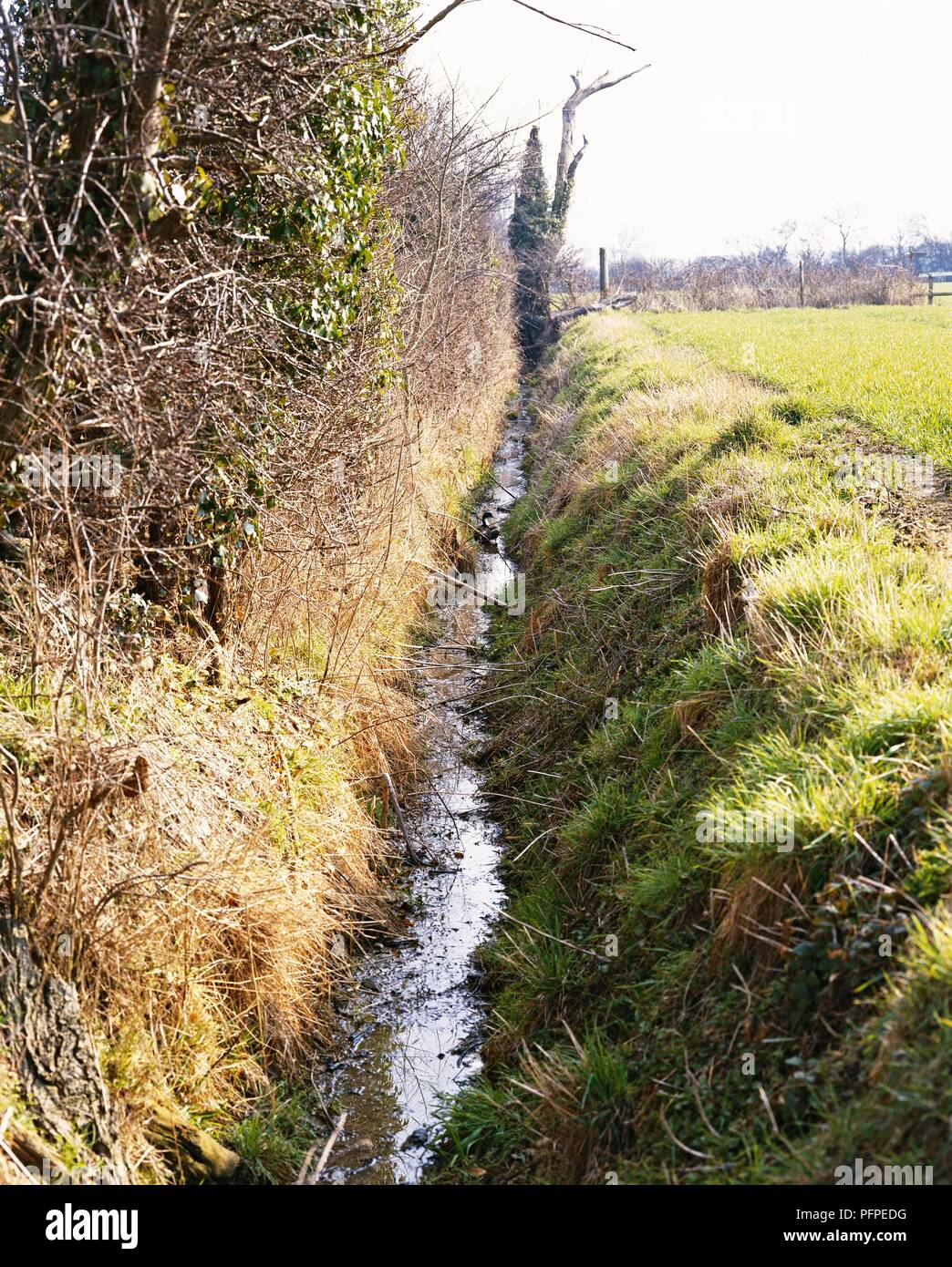 Side ditch hi-res stock photography and images - Alamy