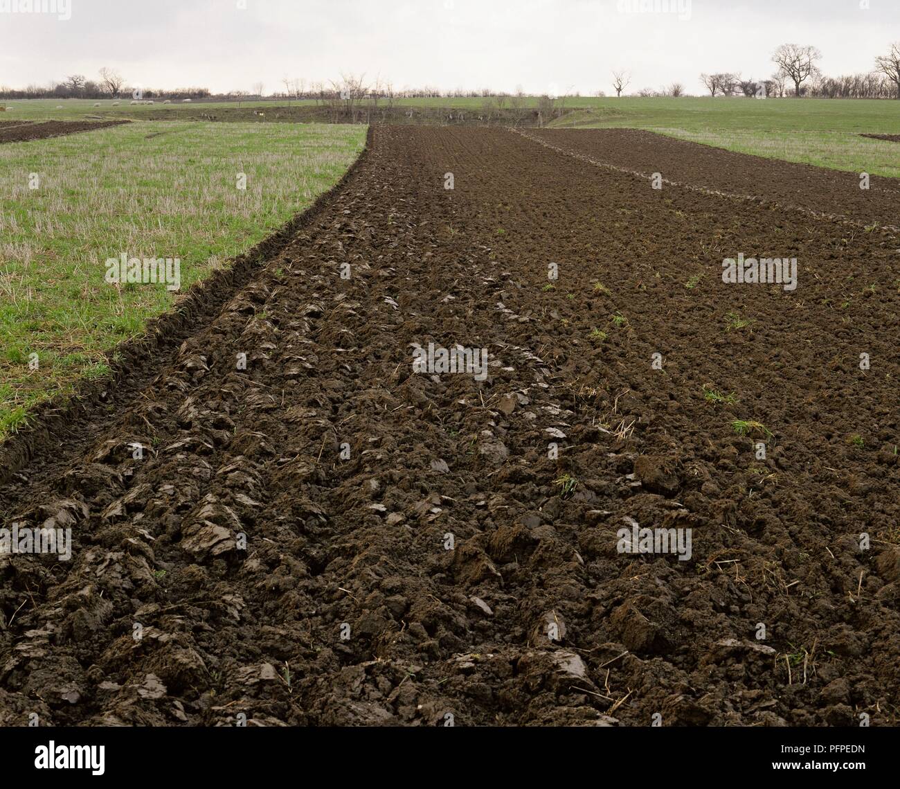 Fallow field crop rotation hi-res stock photography and images - Alamy