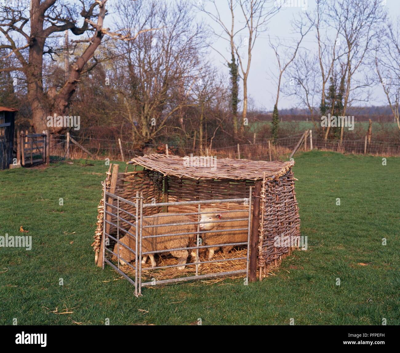 Built in enclosure hi-res stock photography and images - Alamy