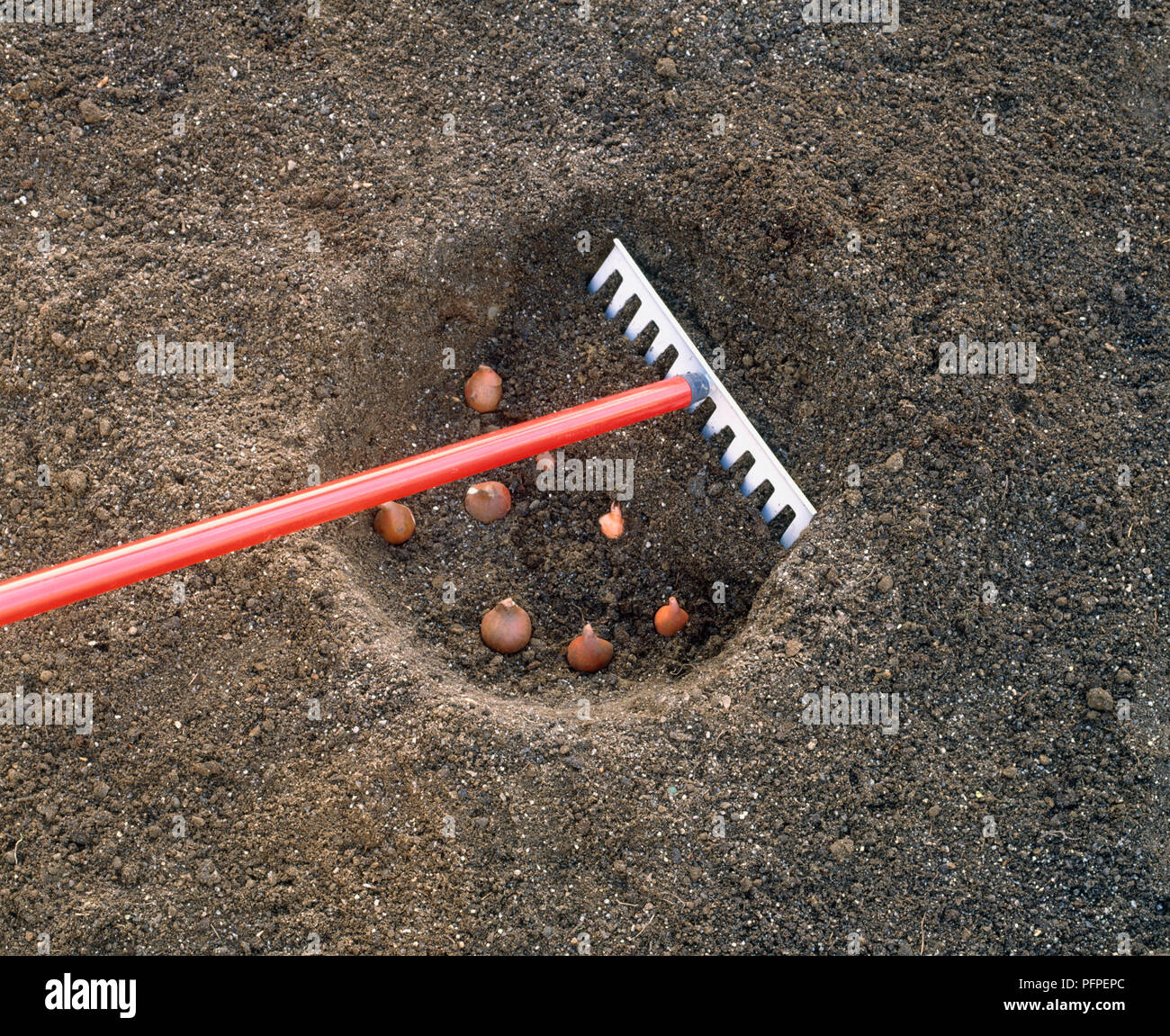 Using rake close up hi-res stock photography and images - Alamy