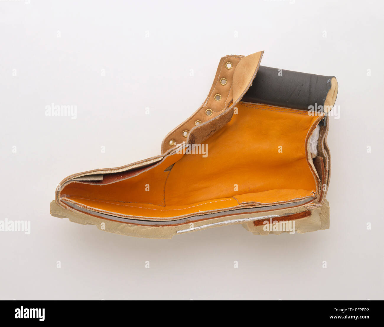 Cross section through a leather boot Stock Photo - Alamy