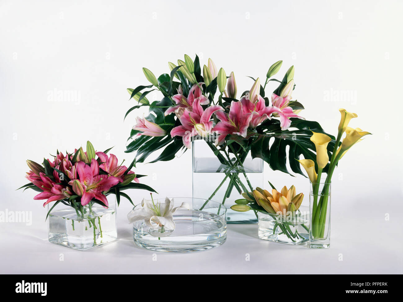 Lily in container hi-res stock photography and images - Alamy