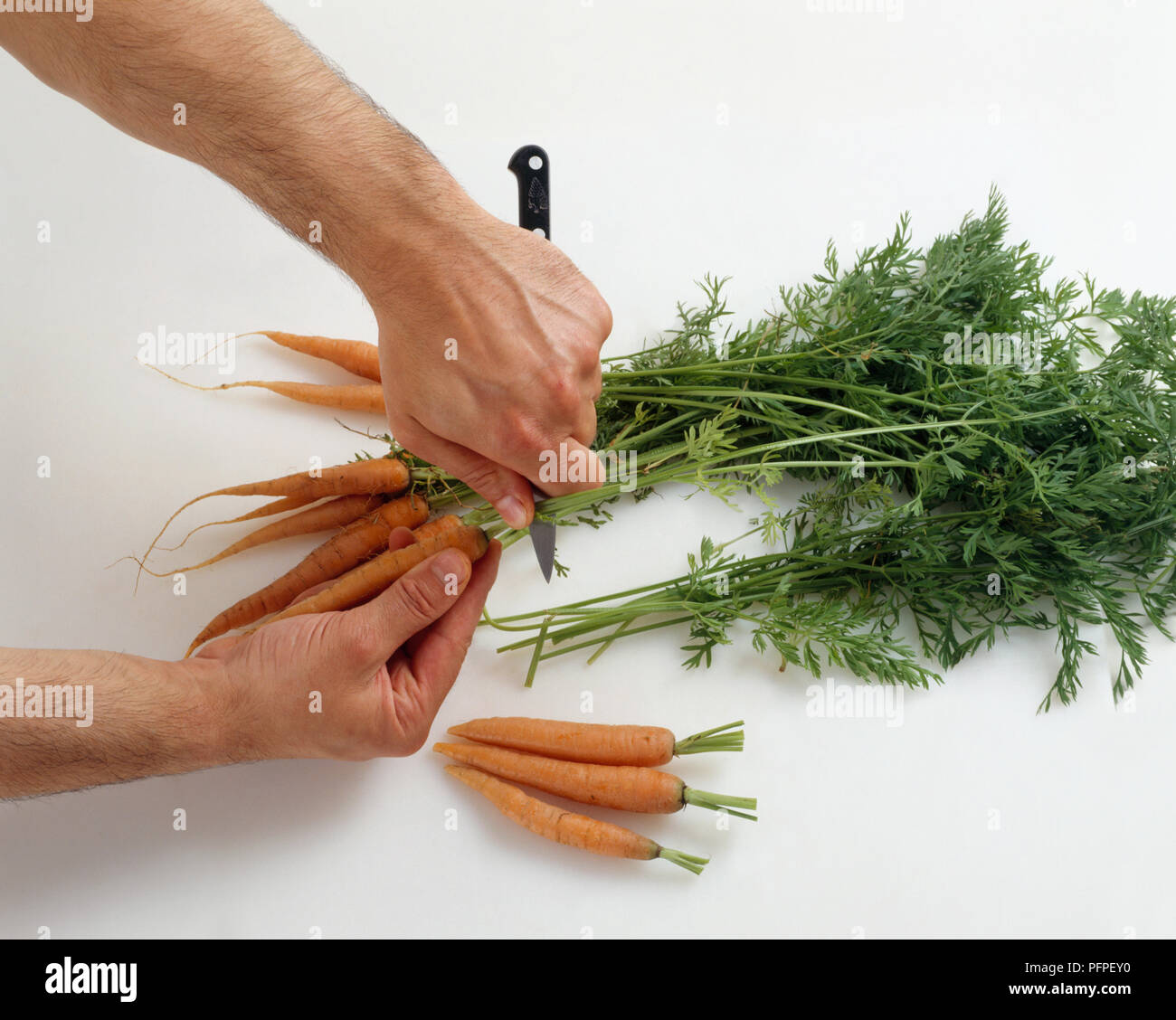 Hand holding large carrot hi-res stock photography and images - Alamy