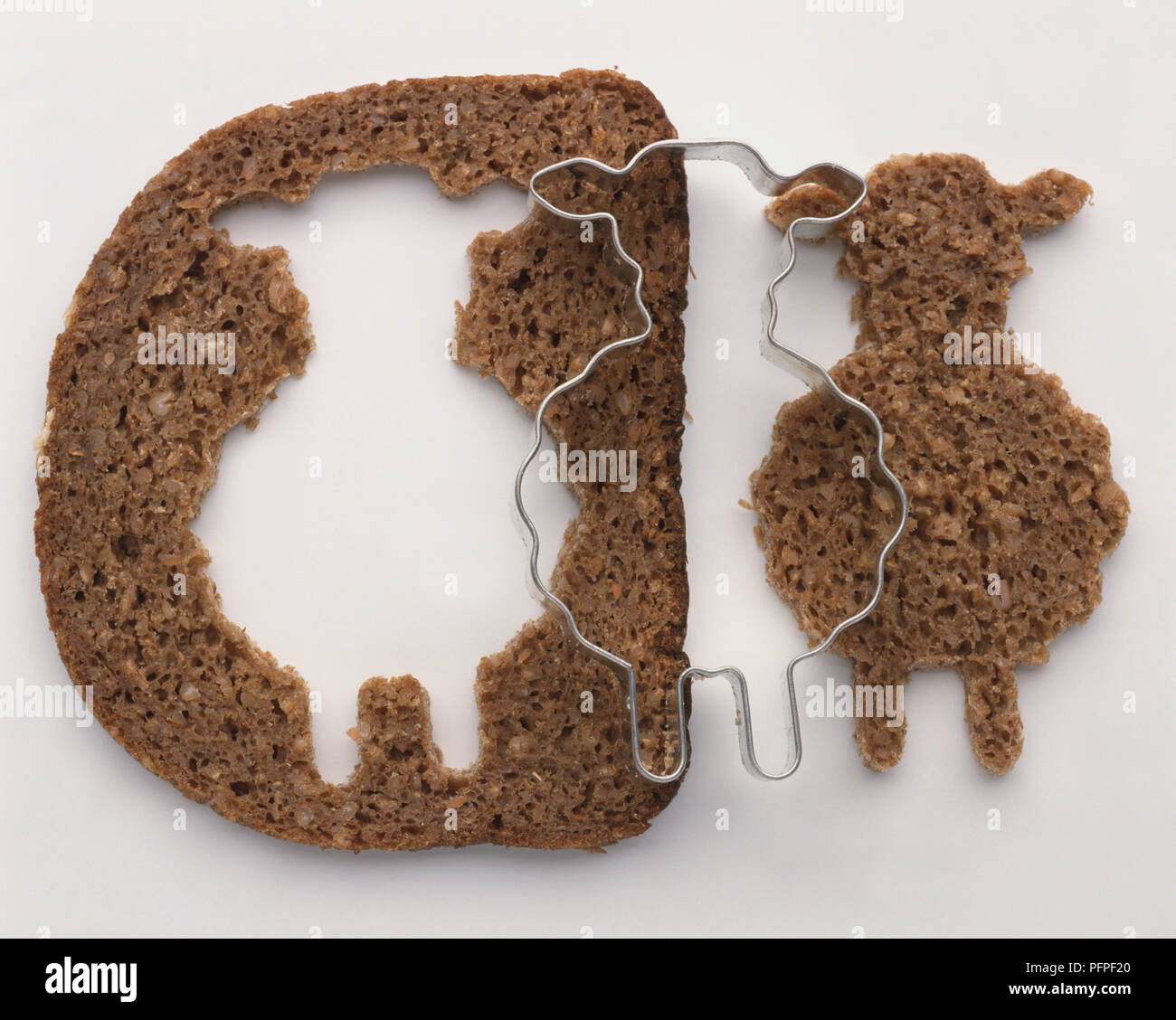 Sheep Eating Bread High Resolution Stock Photography and Images - Alamy