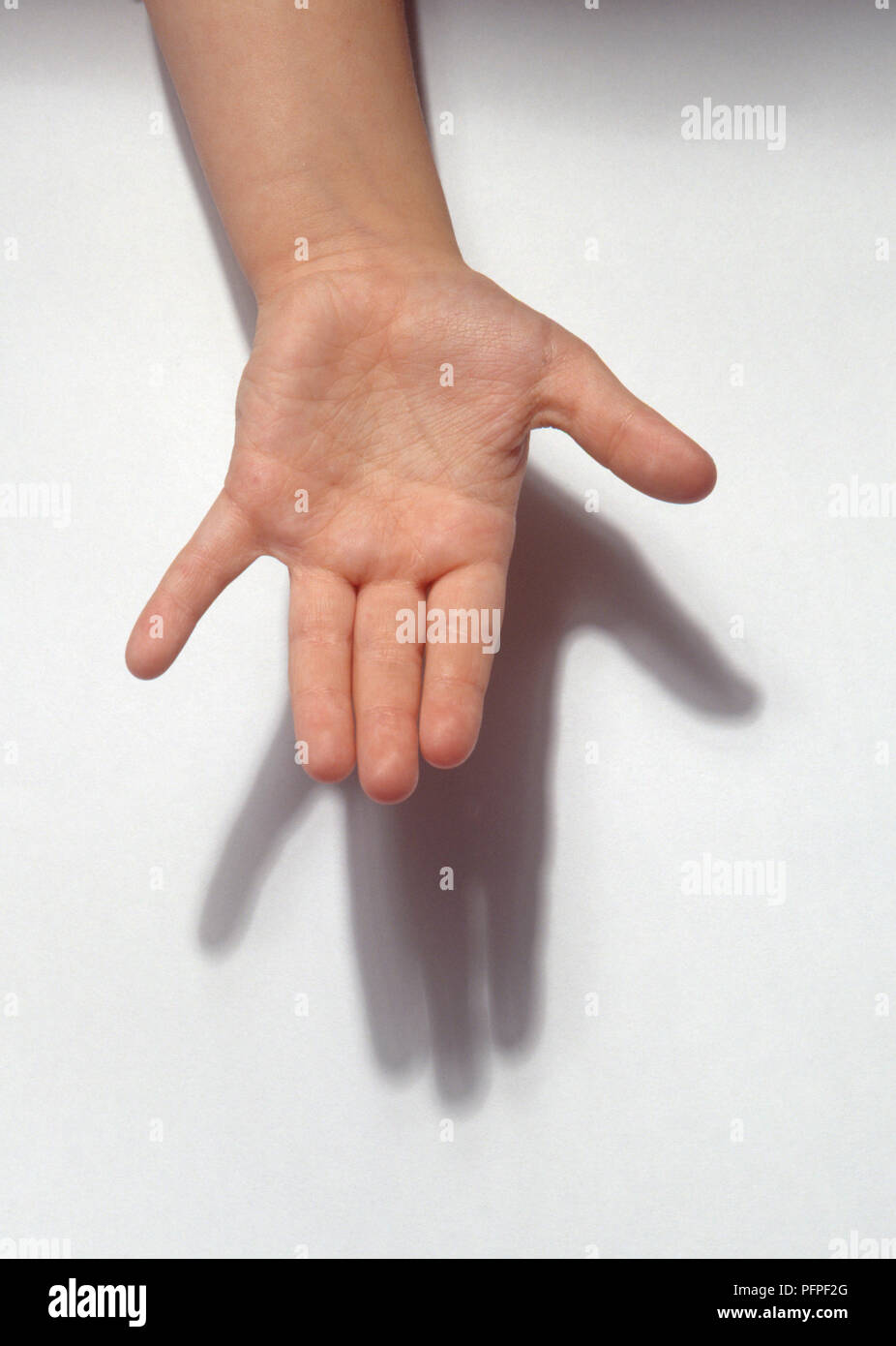 Child making hand shadow against white background Stock Photo - Alamy