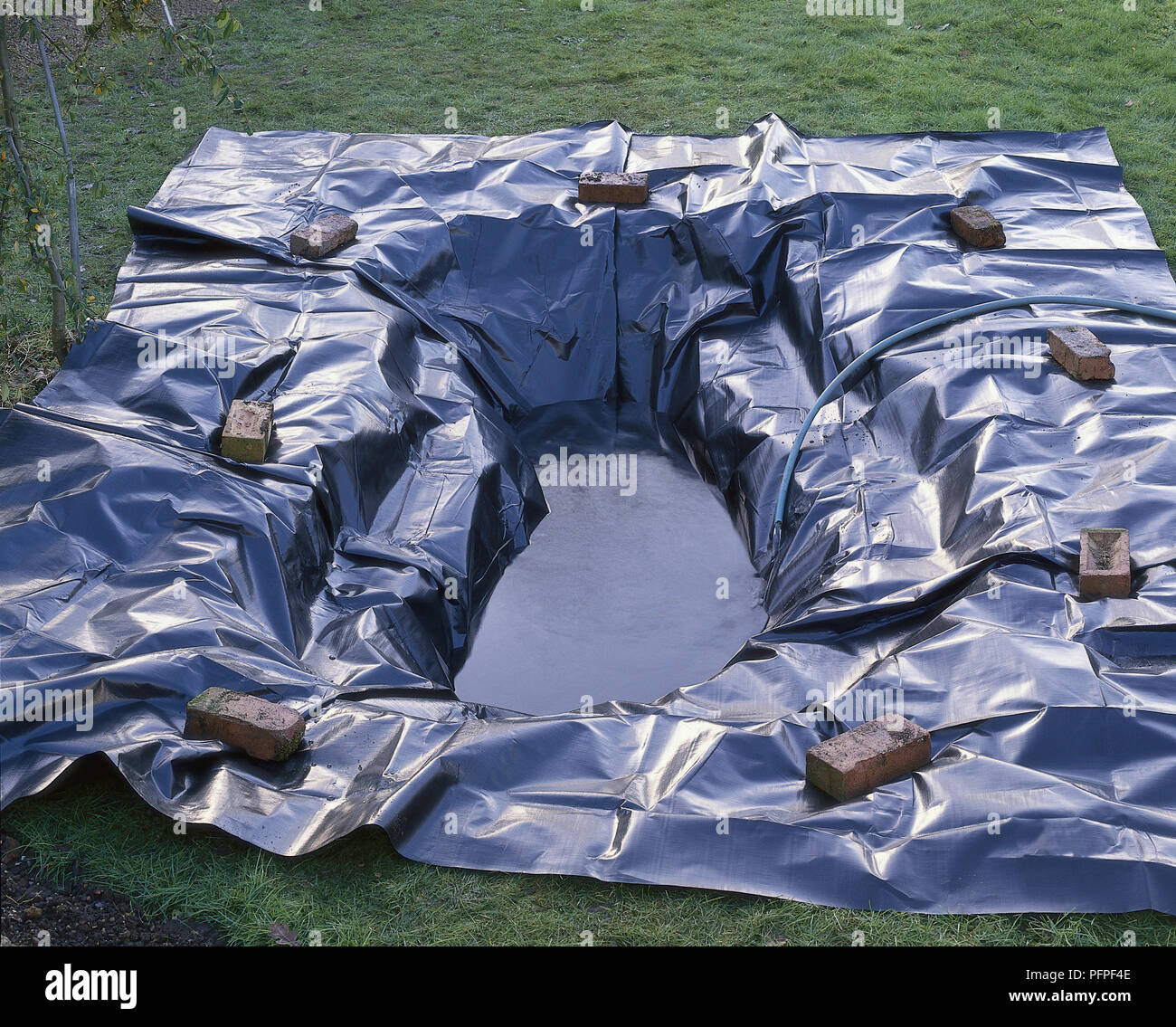 Lining simple pond and shelf with underlay secured with bricks, filling ...