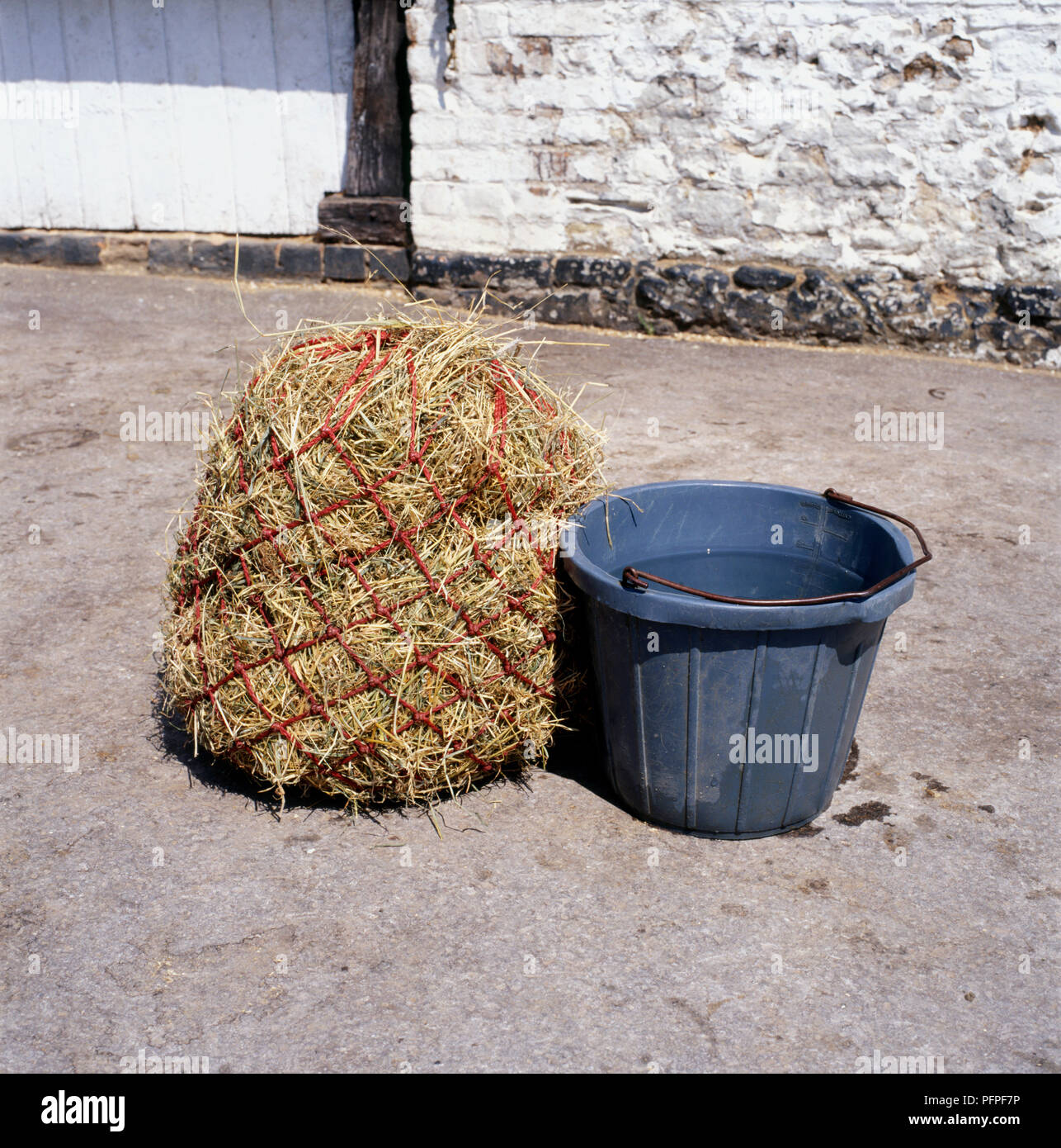 Hay in plastic mesh net, and bucket water in stable yard Stock Photo ...