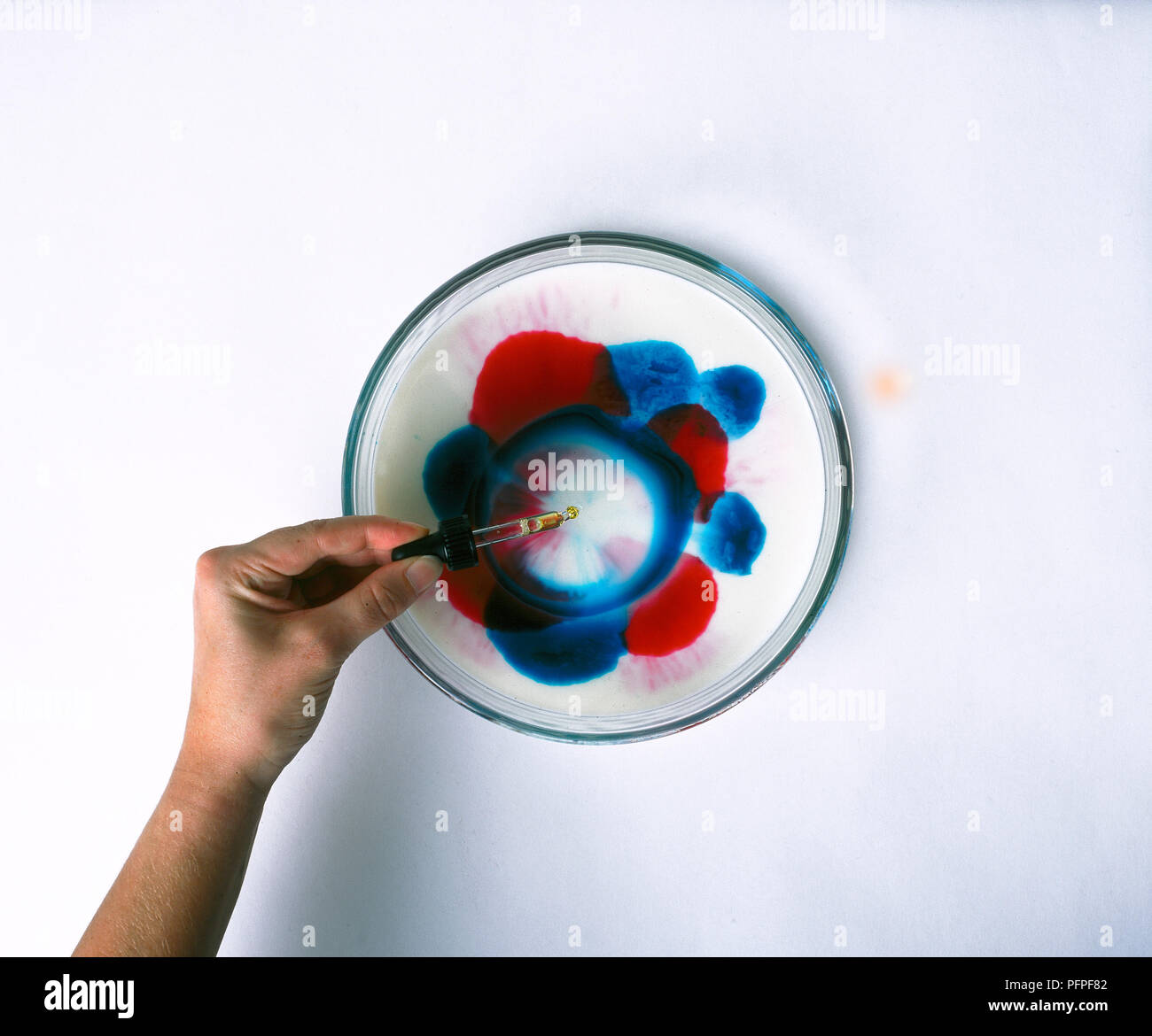 Hand dropping detergent in dish full of milk (to show surface tension ...