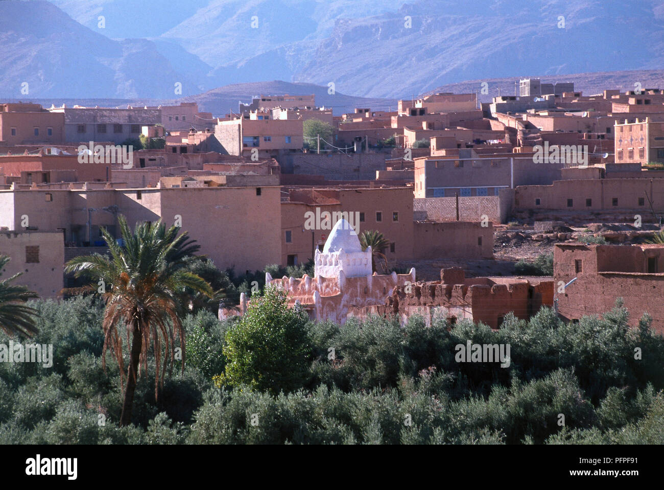 Morocco, Tinerhis Oasis, built on rocky outcrop stretching out along ...