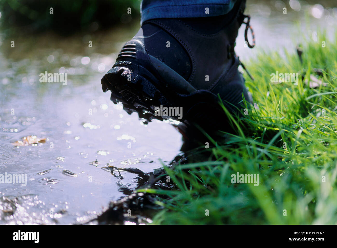 Foot wearing trainer on grass next to muddy water after rain, close-up ...