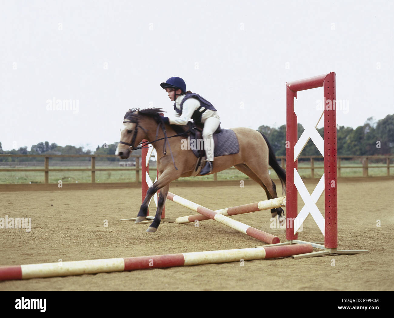 Pony and rider jumping over poles Stock Photo - Alamy