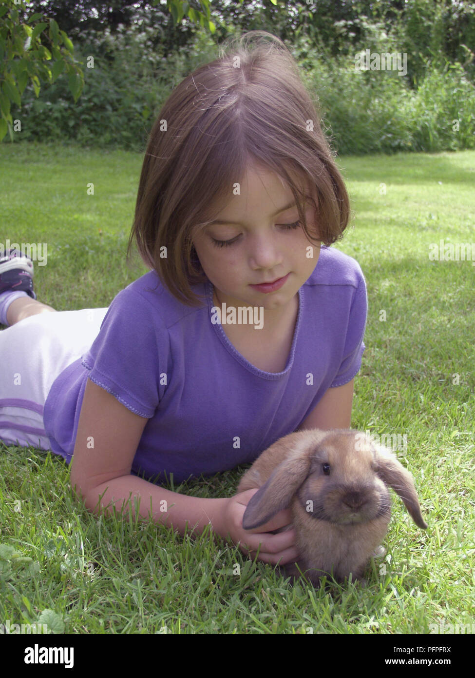 Rabbit uk lawn hi-res stock photography and images - Alamy