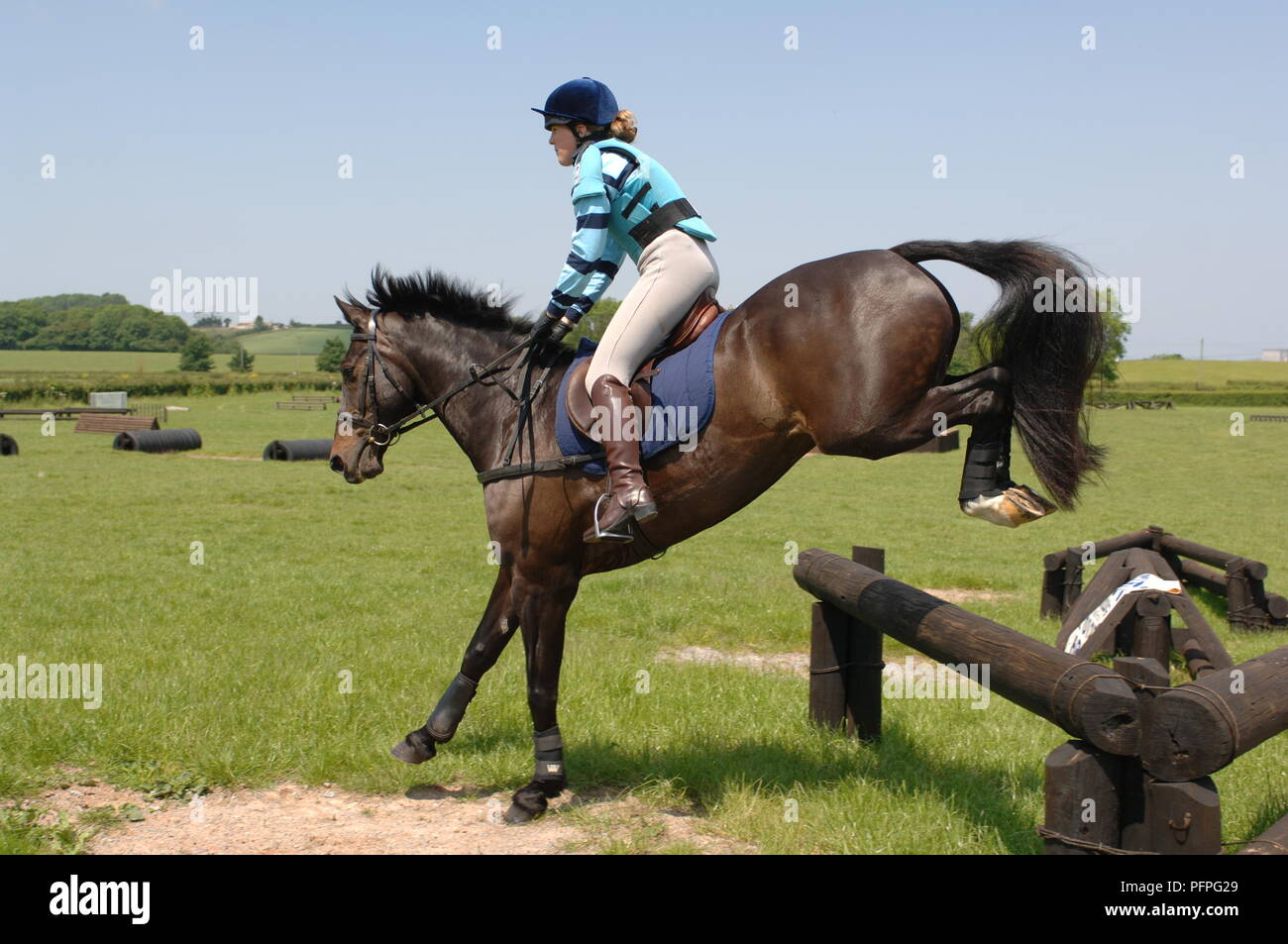 Woman riding bay pony, jumping corner hurdle on cross-country course ...