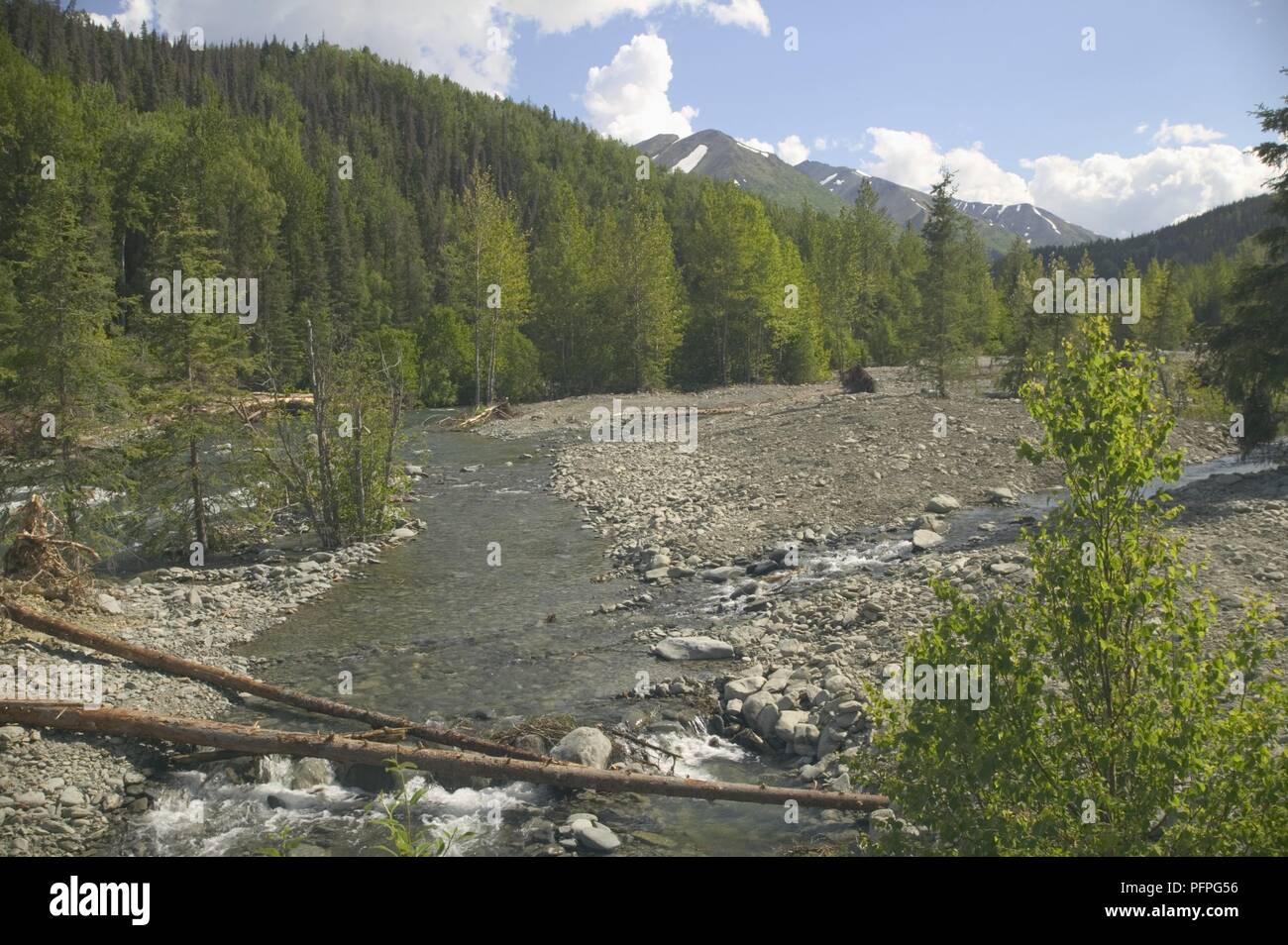 Resurrection pass trail kenai peninsula hi-res stock photography and ...