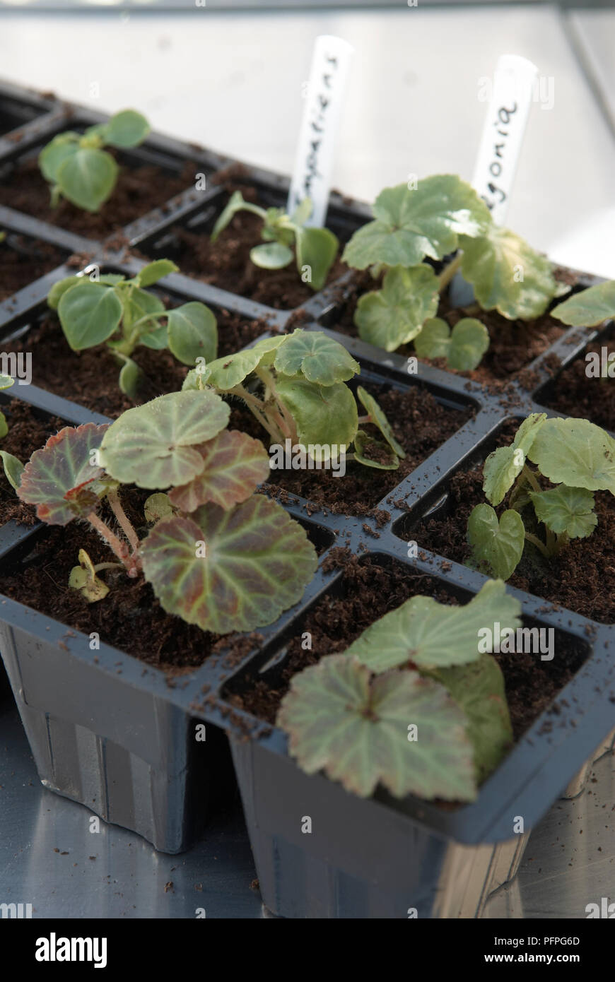 Plastic modules hi-res stock photography and images - Alamy