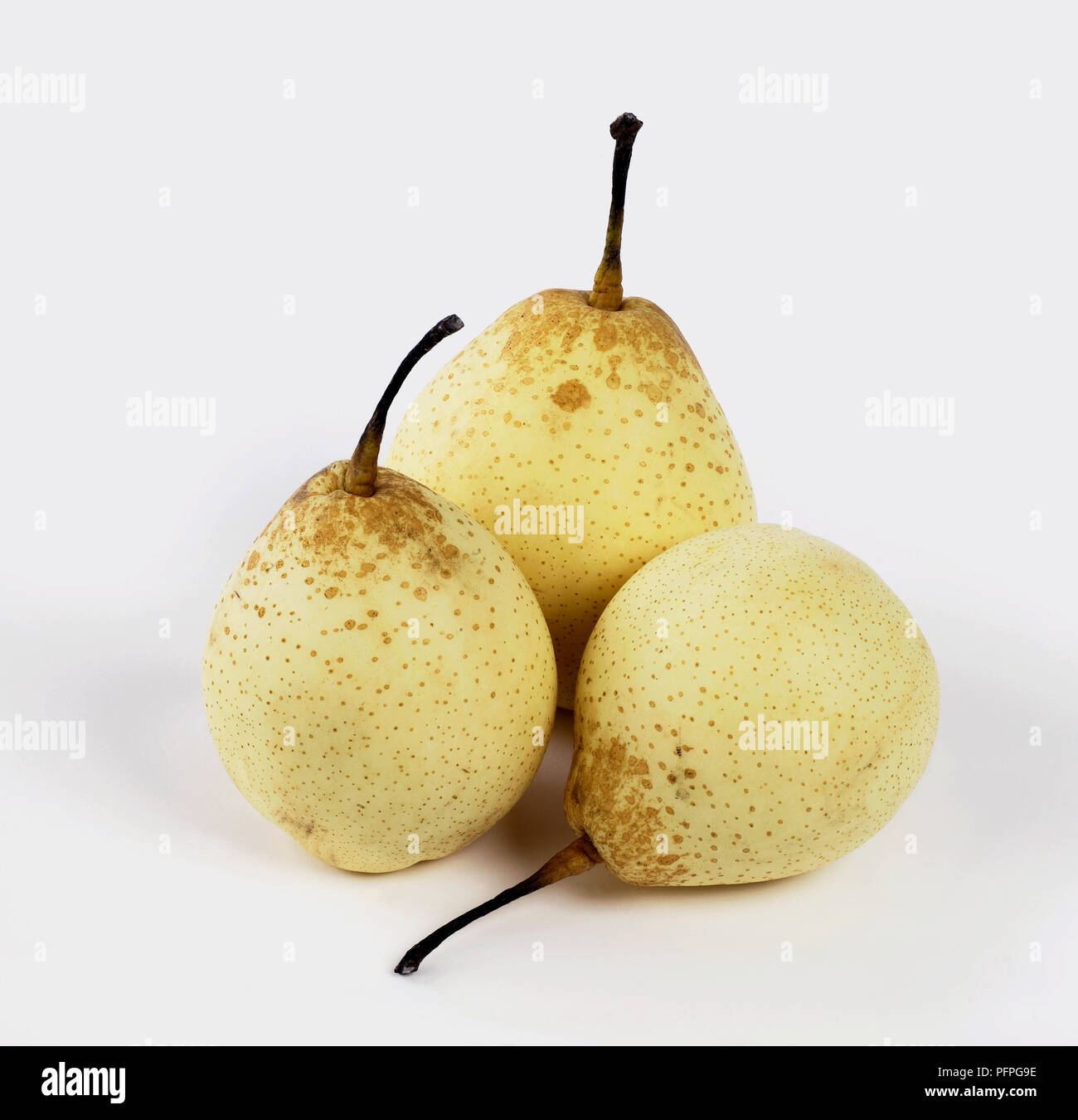 Kosui High Resolution Stock Photography and Images - Alamy