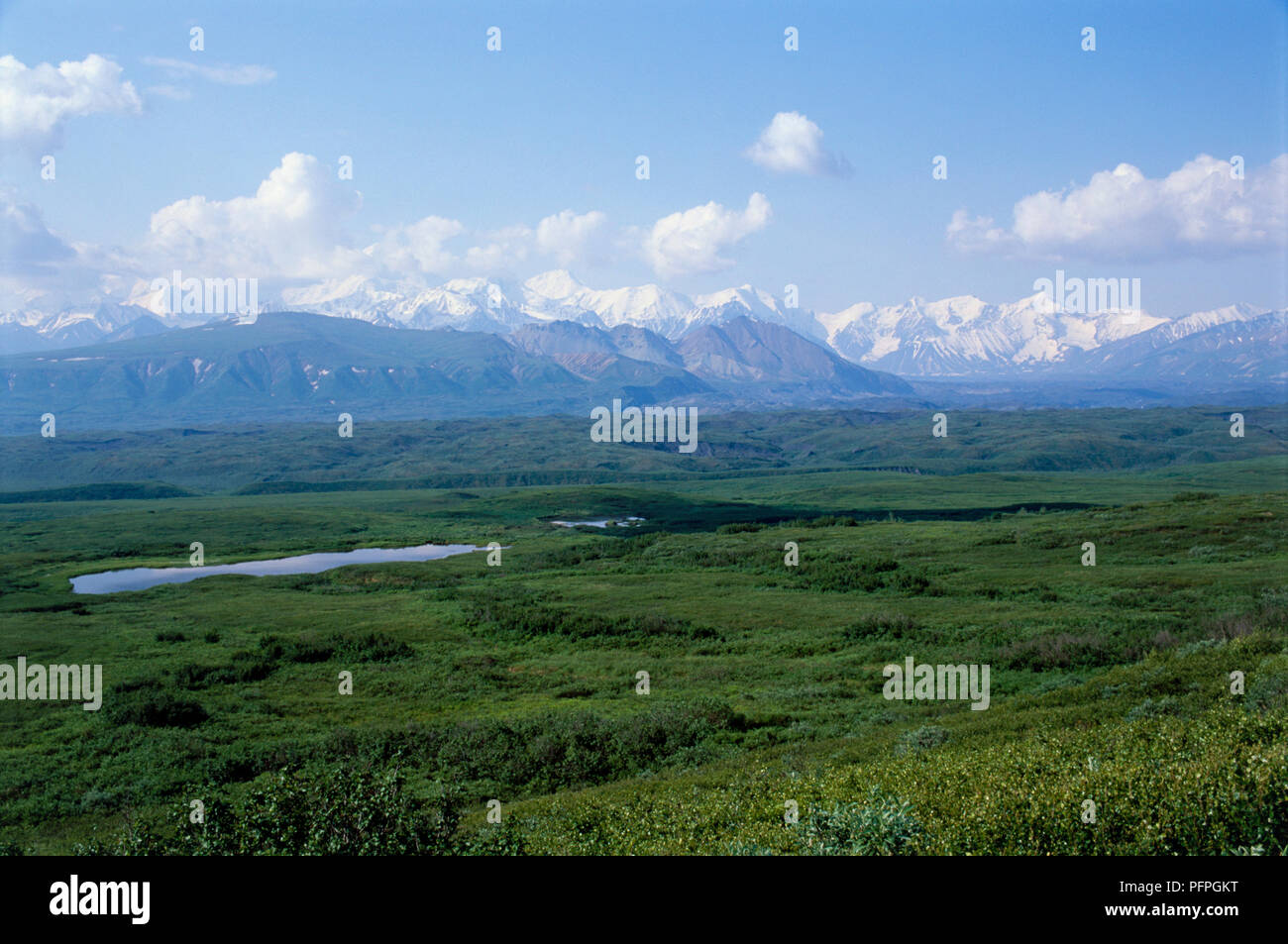 Muldrow glacier hi-res stock photography and images - Alamy