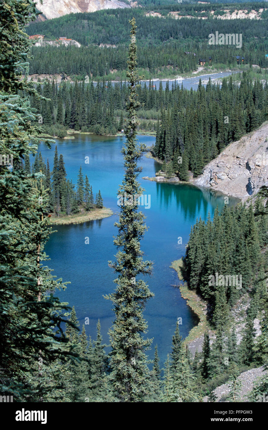 USA, Alaska, Denali National Park, Horseshoe lake surrounded by ...
