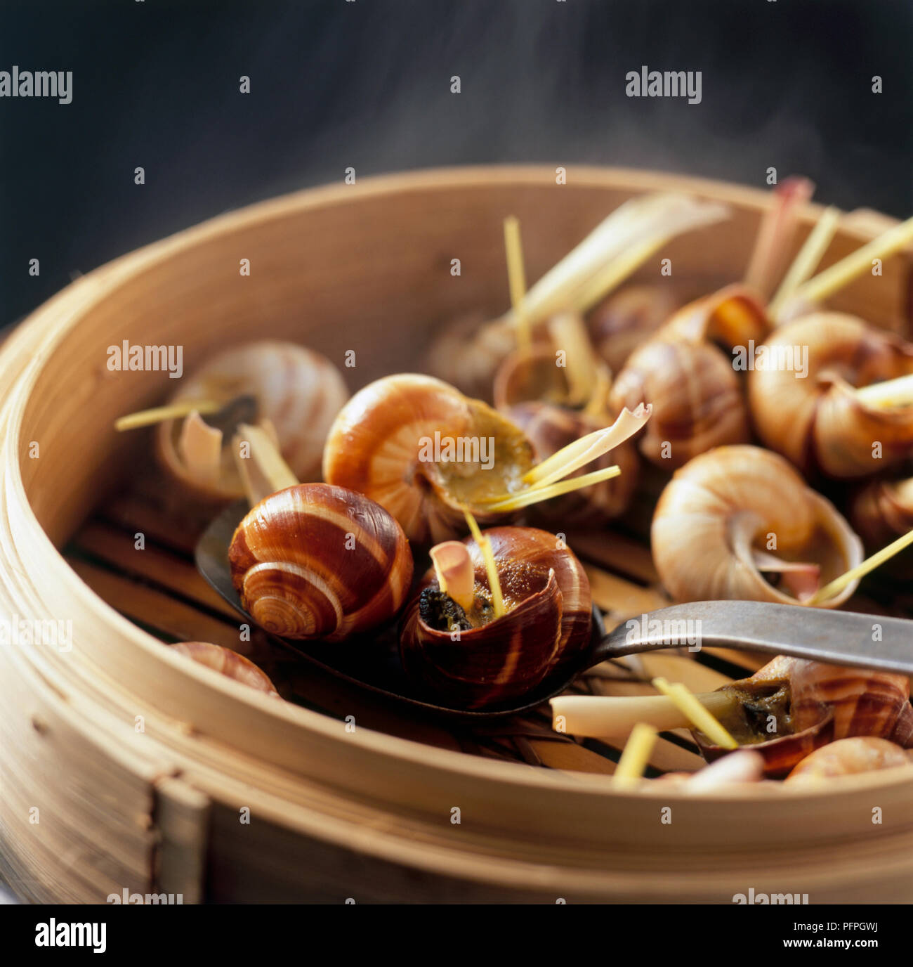 Amok chouk, steamed curried snails with lemongrass, from Cambodia Stock ...