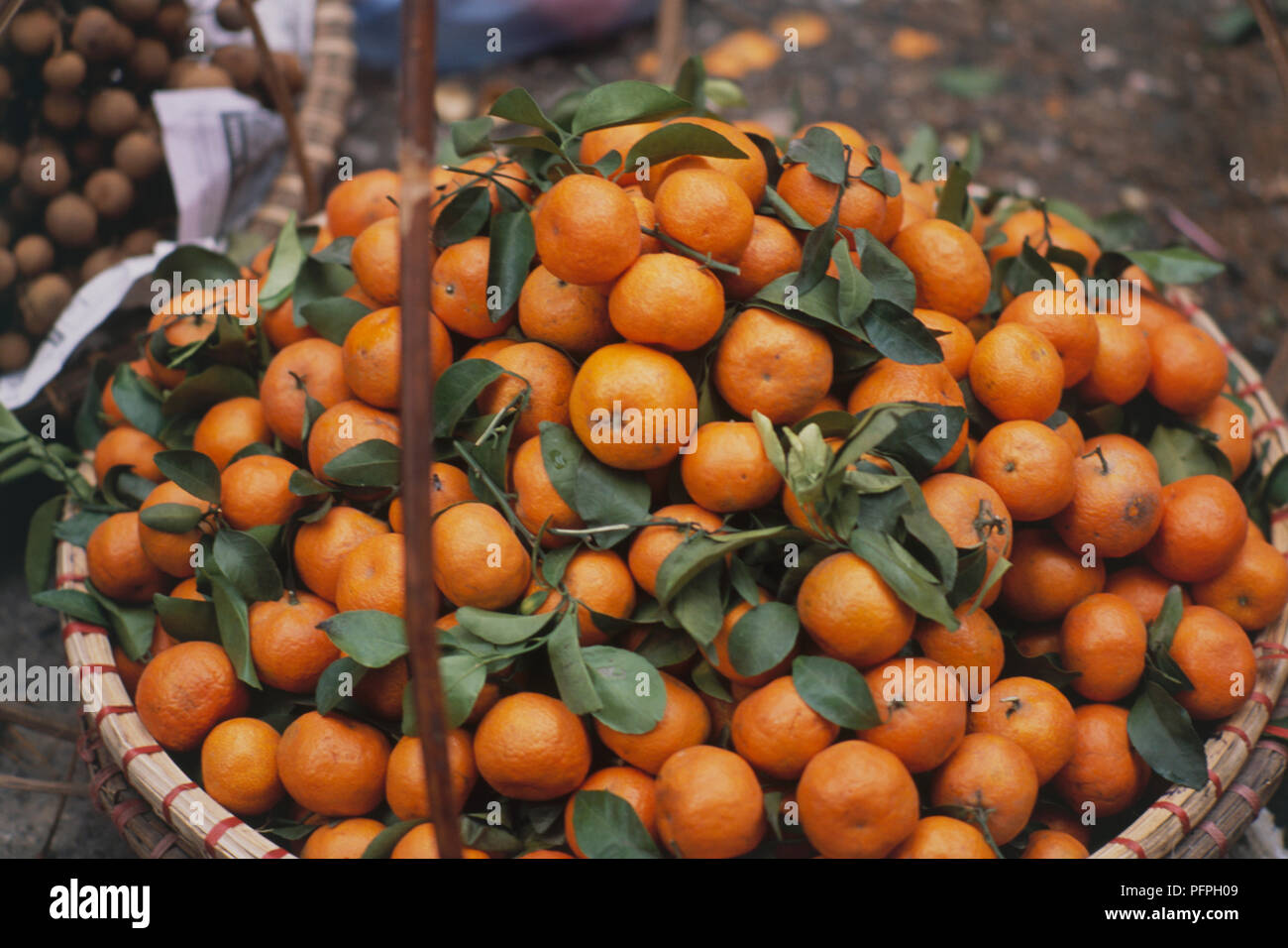 Fresh mandarin oranges in basket at Hanoi market, Vietnam Stock Photo ...