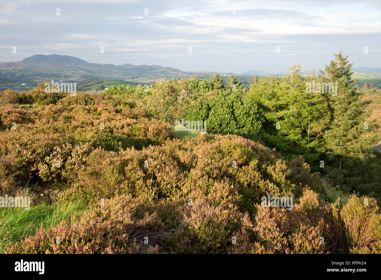 Rock of doon hi-res stock photography and images - Alamy