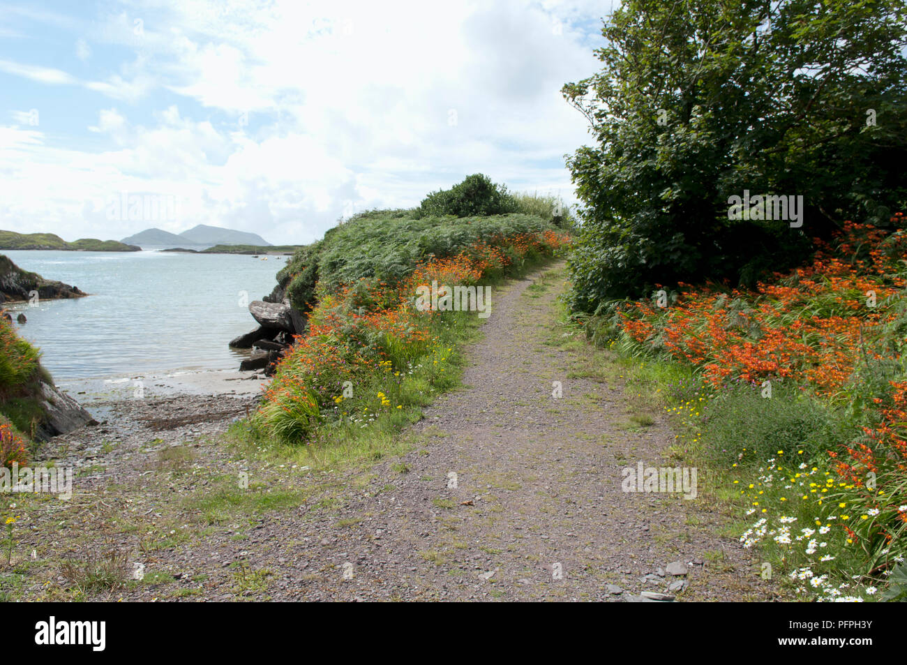 Ireland, County Kerry, Iveragh Peninsula, walk to Mass Rock from ...