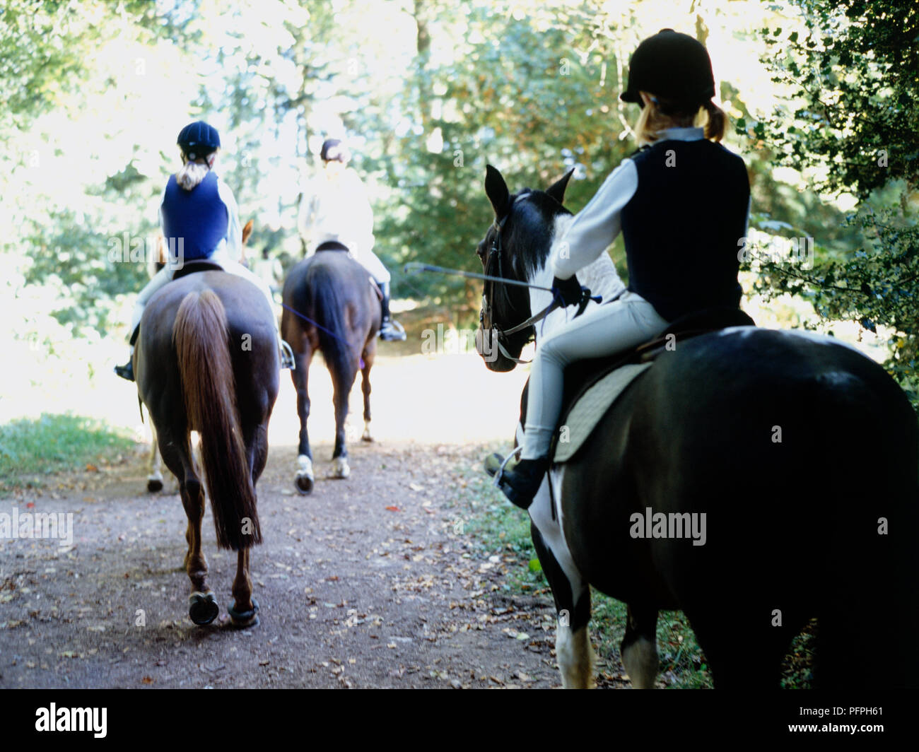 Two girls on ponies riding hi-res stock photography and images - Alamy