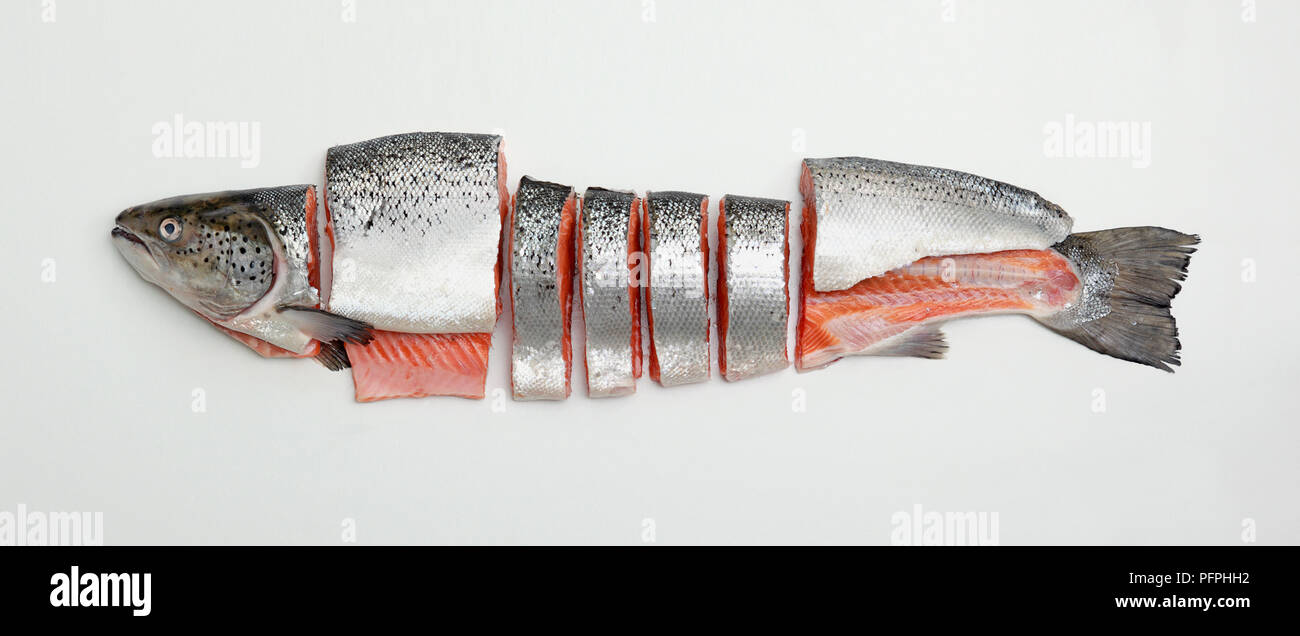 Cuts of a salmon Stock Photo - Alamy