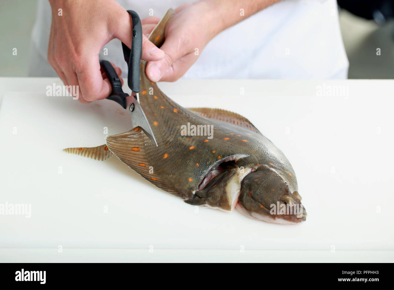 Trimming fins from a plaice Stock Photo - Alamy