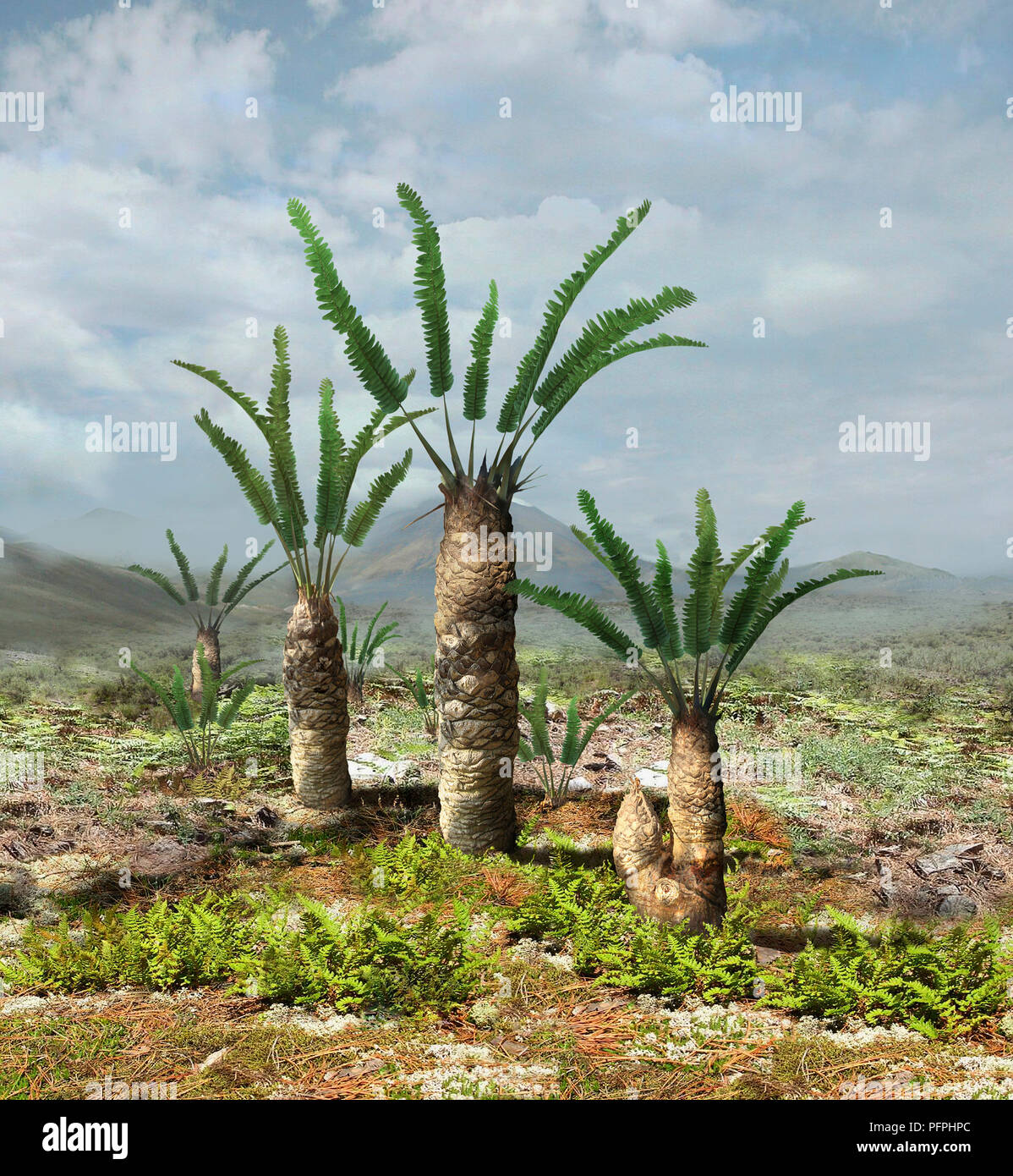 Jurassic Period Plants