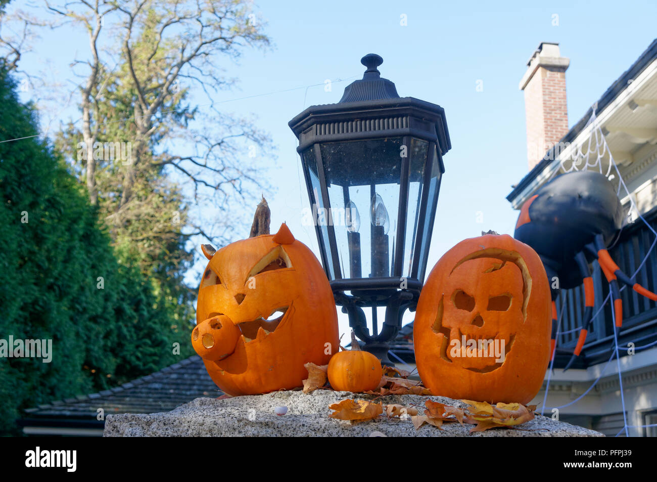 Two carved Halloween pumpkins or jack-o'-lanterns on the a stone wall ...