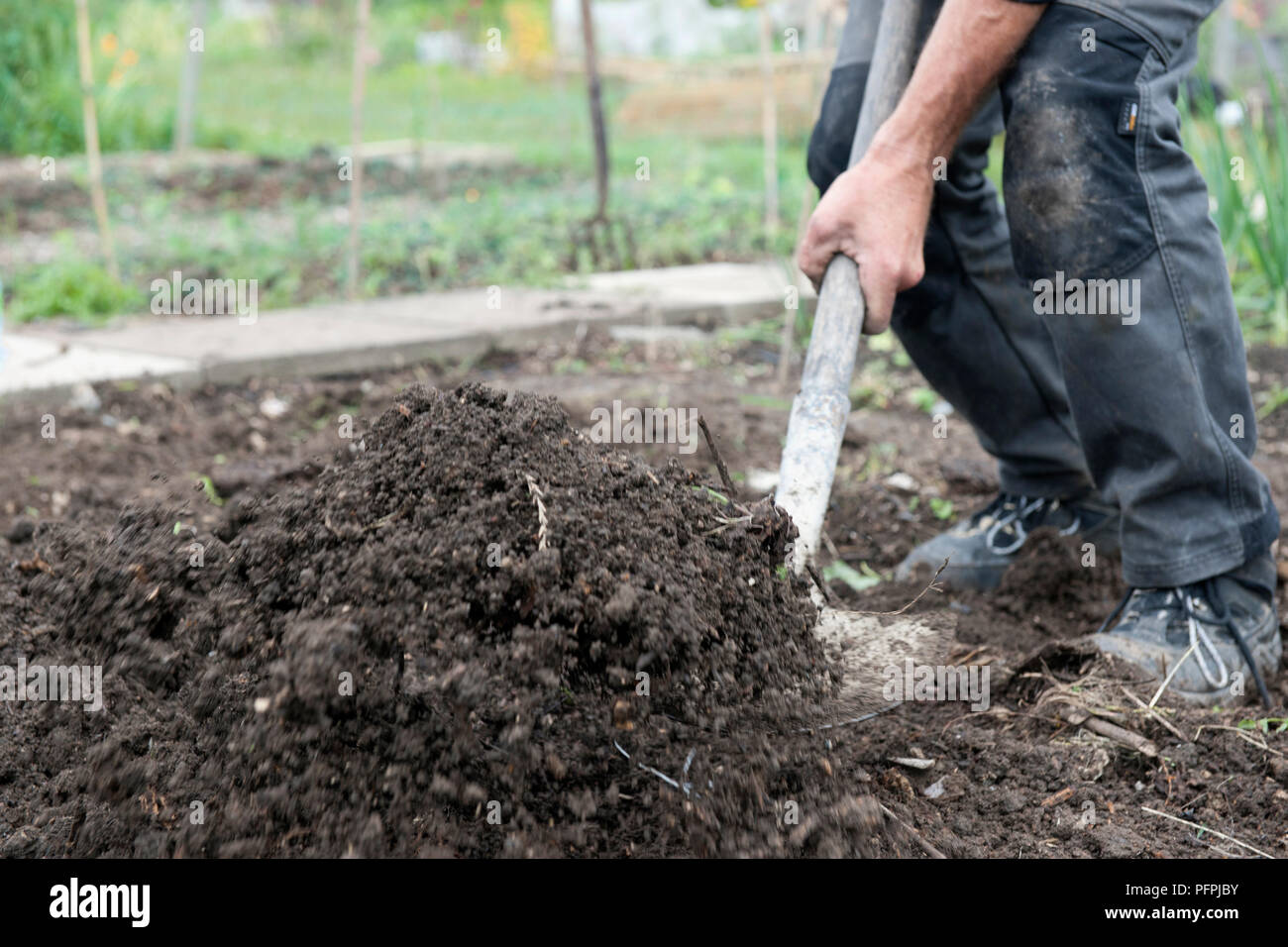 Digging over site of vegetable patch, using a spade, close-up Stock ...